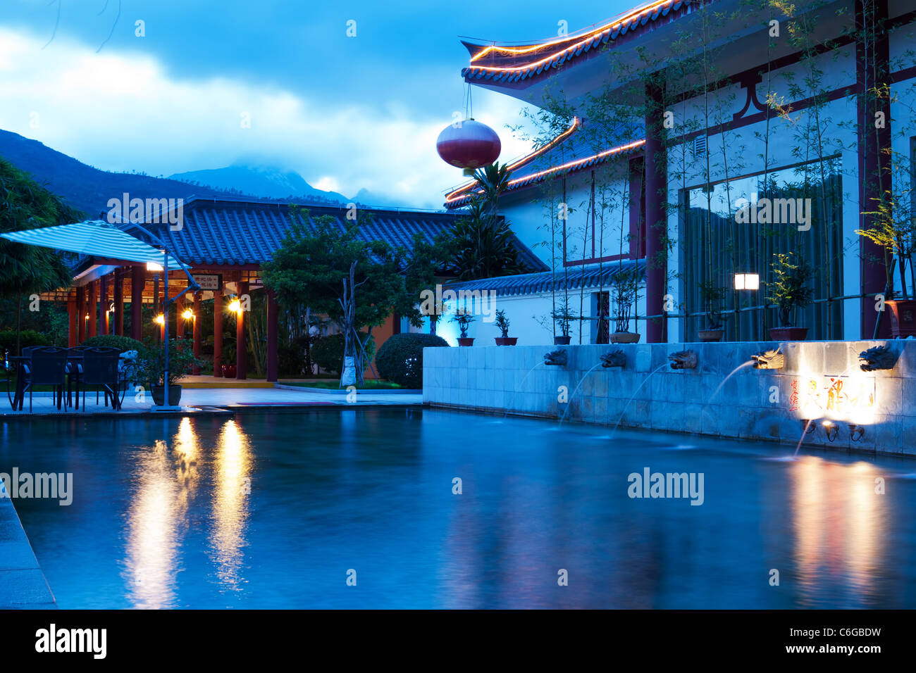 Chinese Water Dragon Swimming In Pool