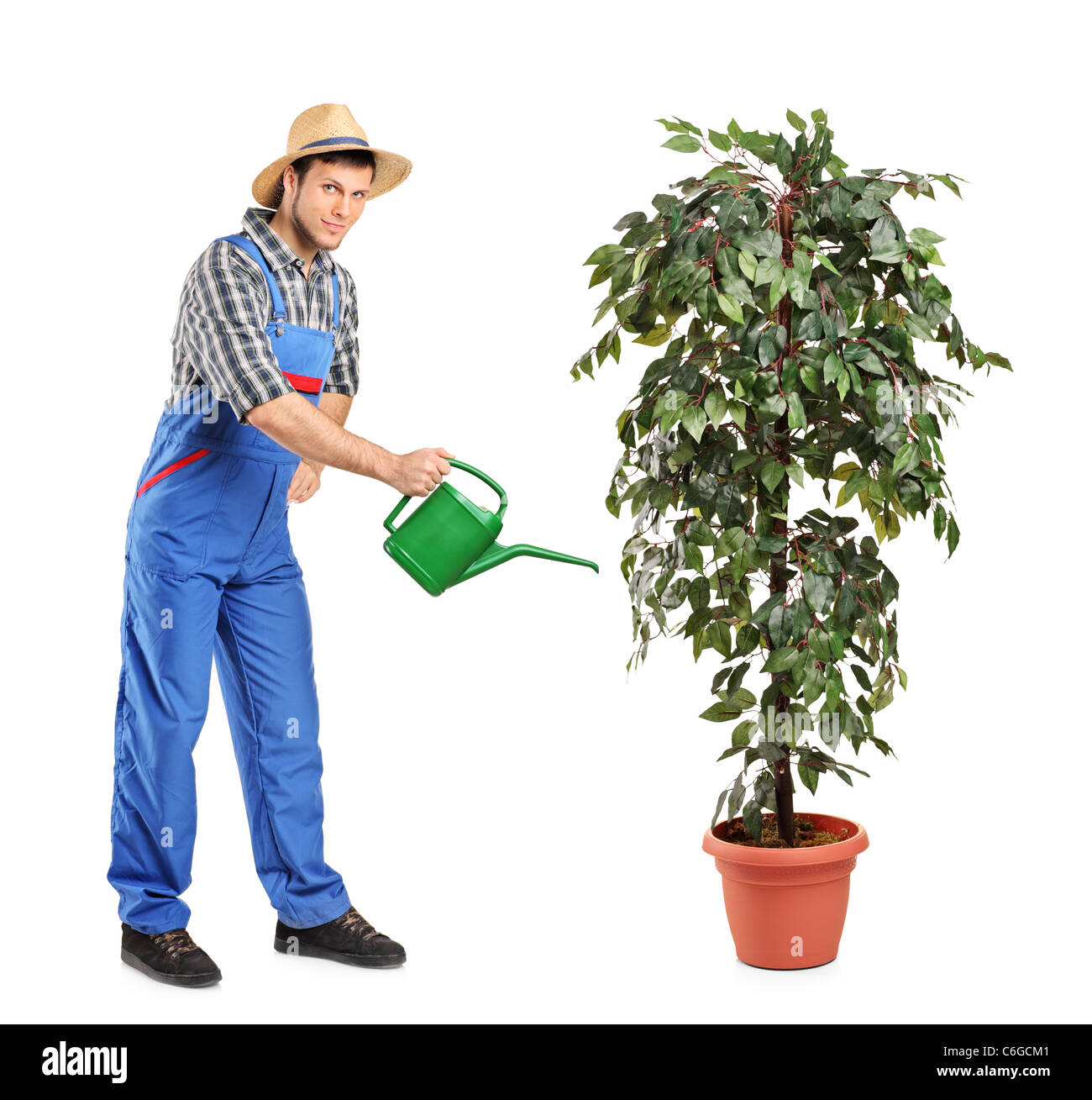 Full length portrait of a person watering a decoration plant Stock ...