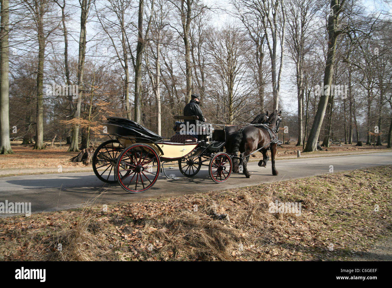 Denmark dyrehaven horse hi-res stock photography and images - Alamy