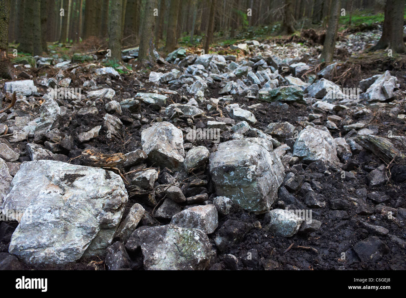 Rocks in forest Stock Photo - Alamy