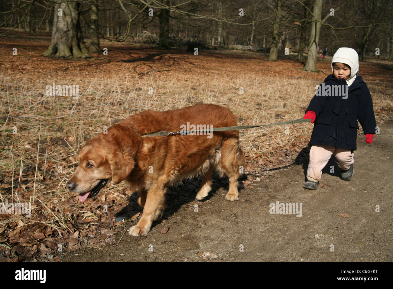 Dyrehaven park near København (Copenhagen) in Denmark Stock Photo - Alamy