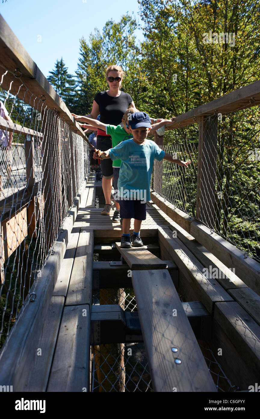 The world´s longest tree top walk - Tree Tower - Bavarian Forest ...