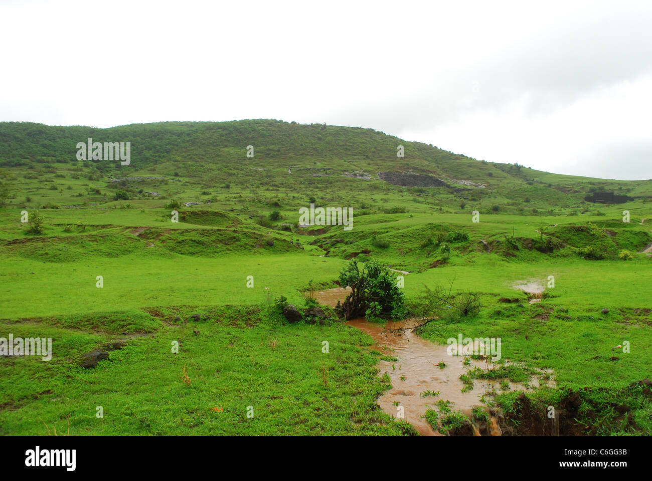 Wet water scenery hi-res stock photography and images - Alamy