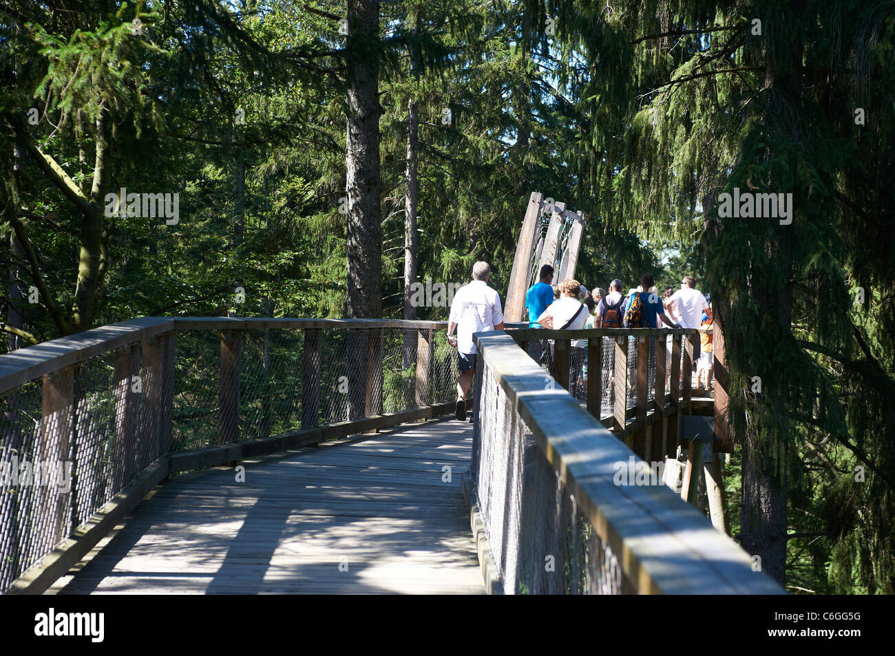 The world´s longest tree top walk - Tree Tower - Bavarian Forest ...