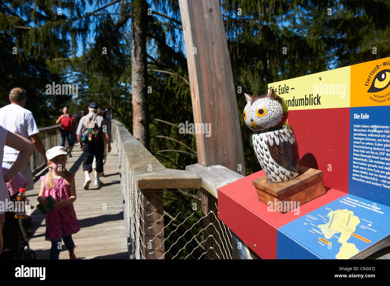 The world´s longest tree top walk - Tree Tower - Bavarian Forest ...