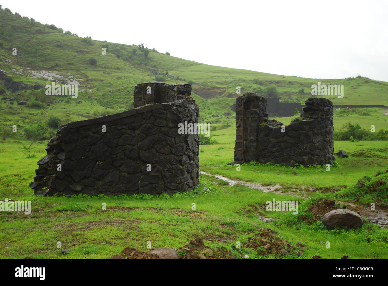Greenery gate hi-res stock photography and images - Alamy