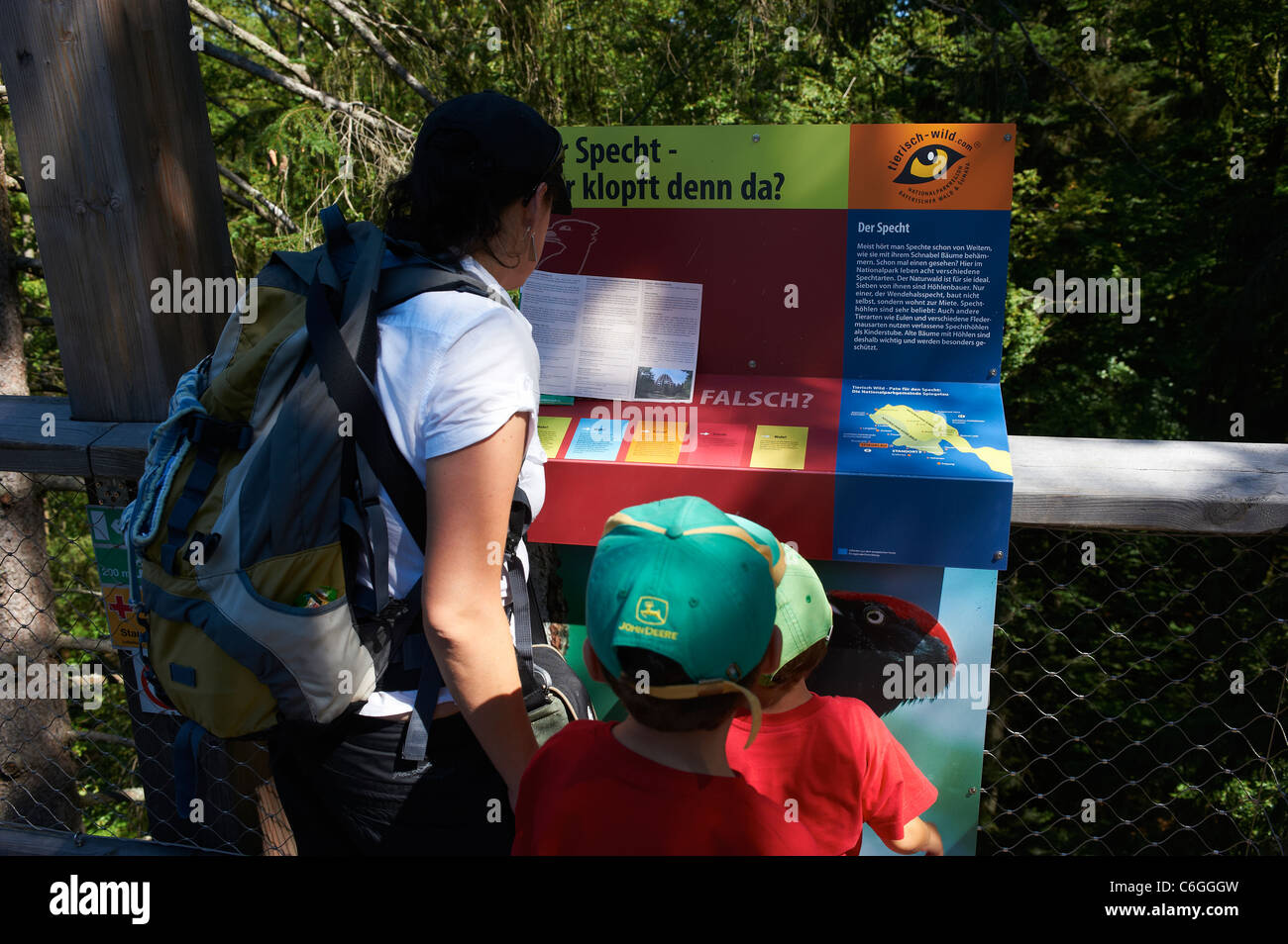 The world´s longest tree top walk - Tree Tower - Bavarian Forest ...