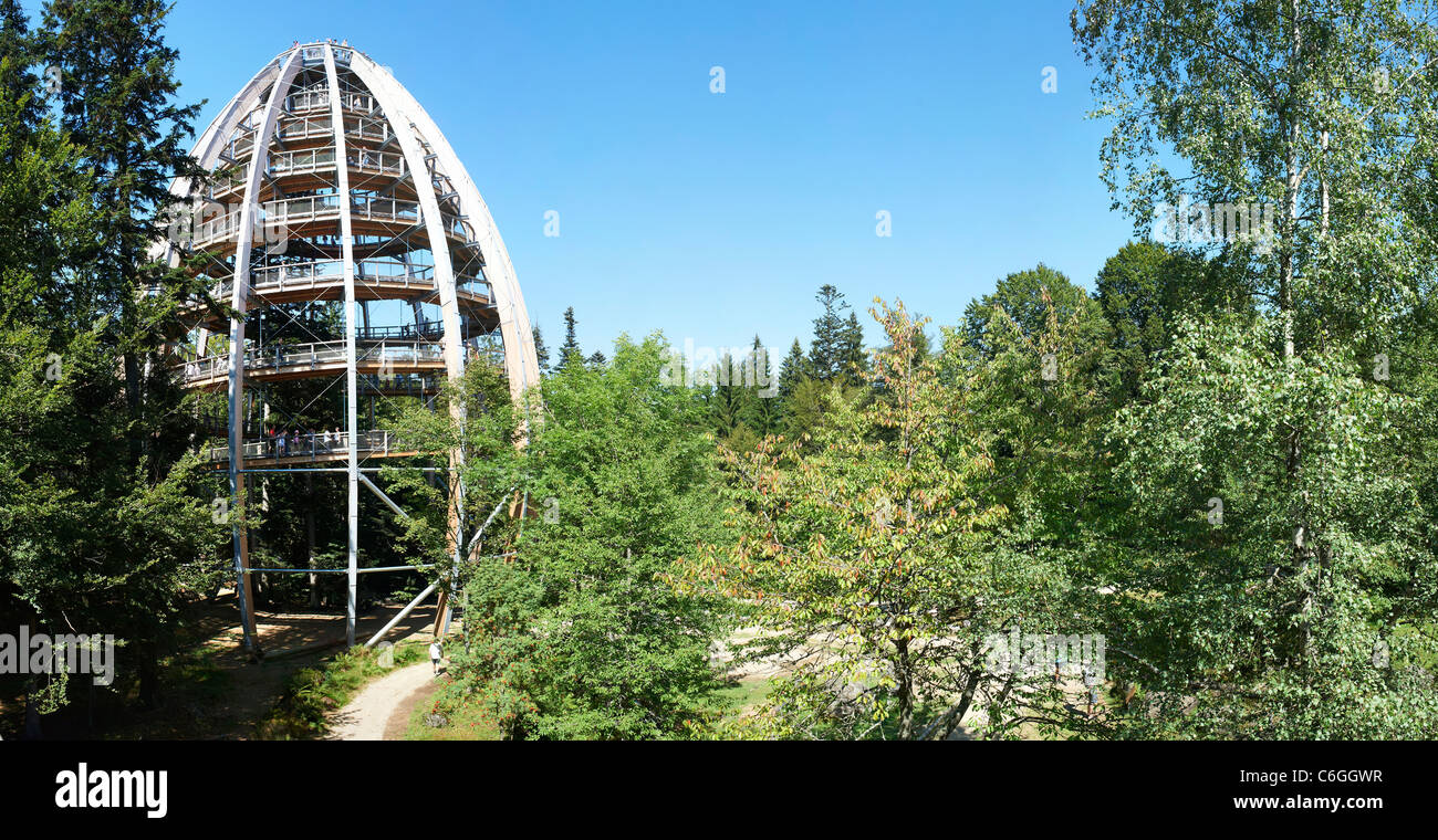 The world´s longest tree top walk - Tree Tower - Bavarian Forest ...