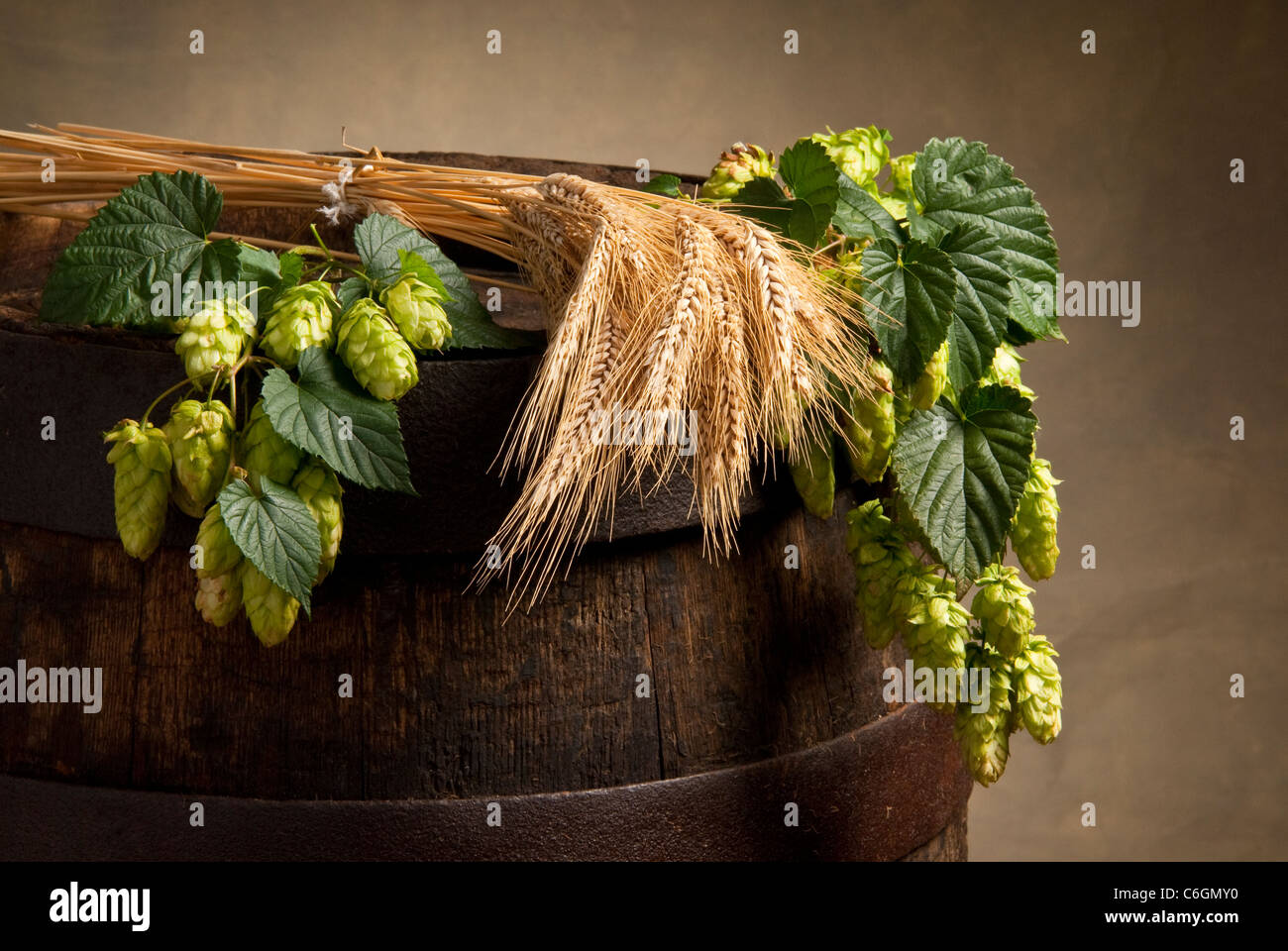 Barley brewing hi-res stock photography and images - Alamy