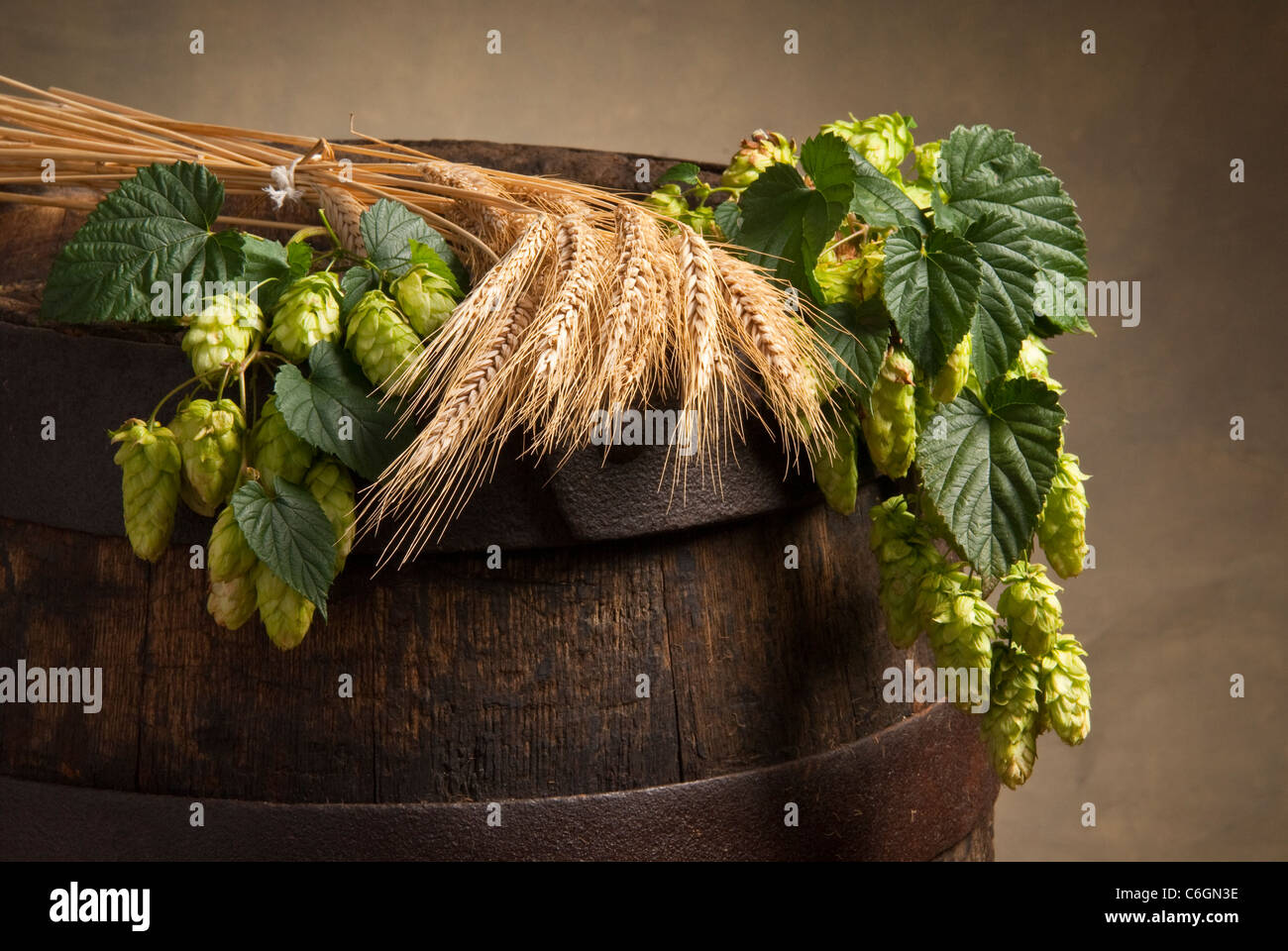 Barley brewing hi-res stock photography and images - Alamy