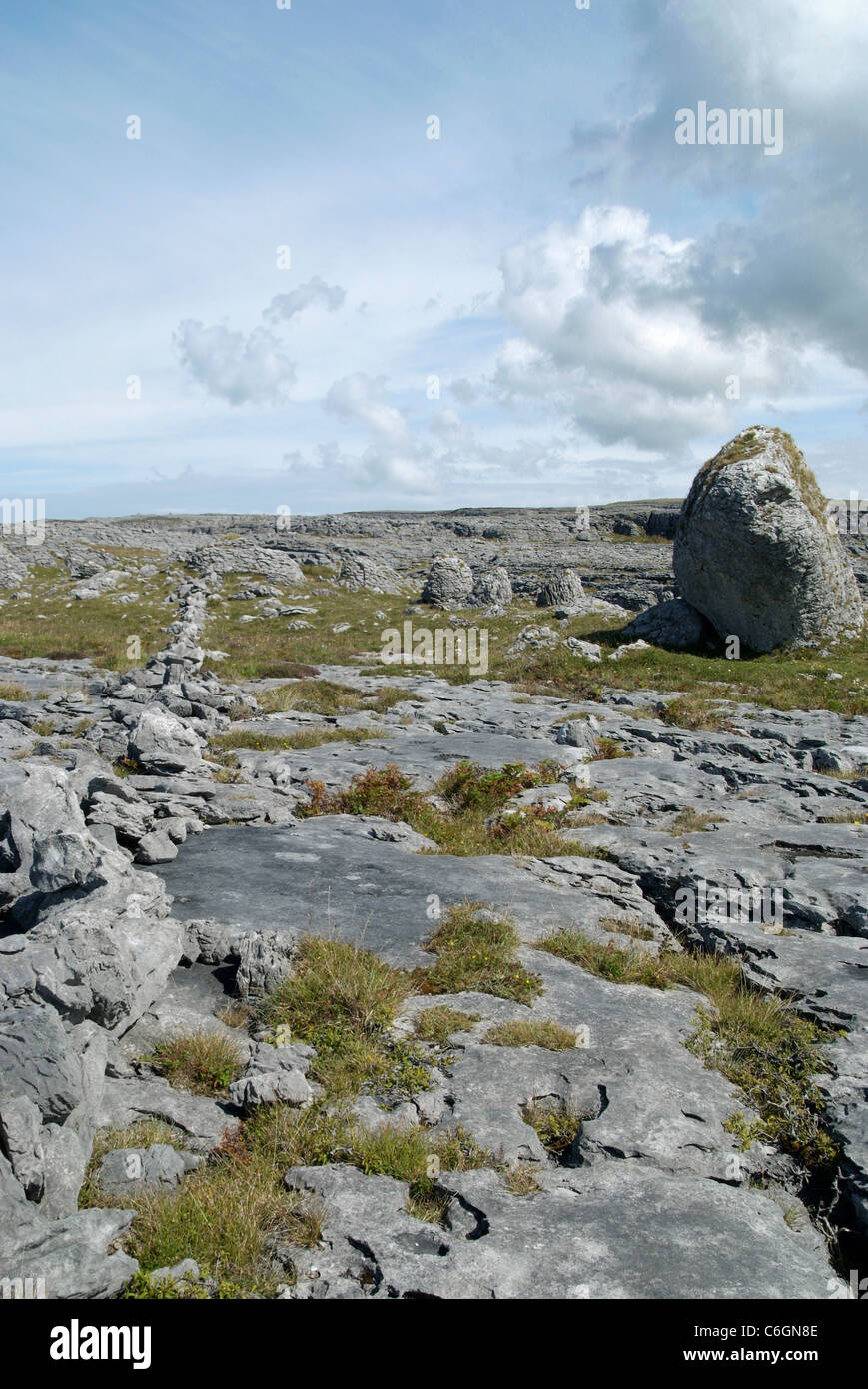 Limestone Glacial Erratic Boulders, Fanore, Co. Clare, Ireland Stock ...