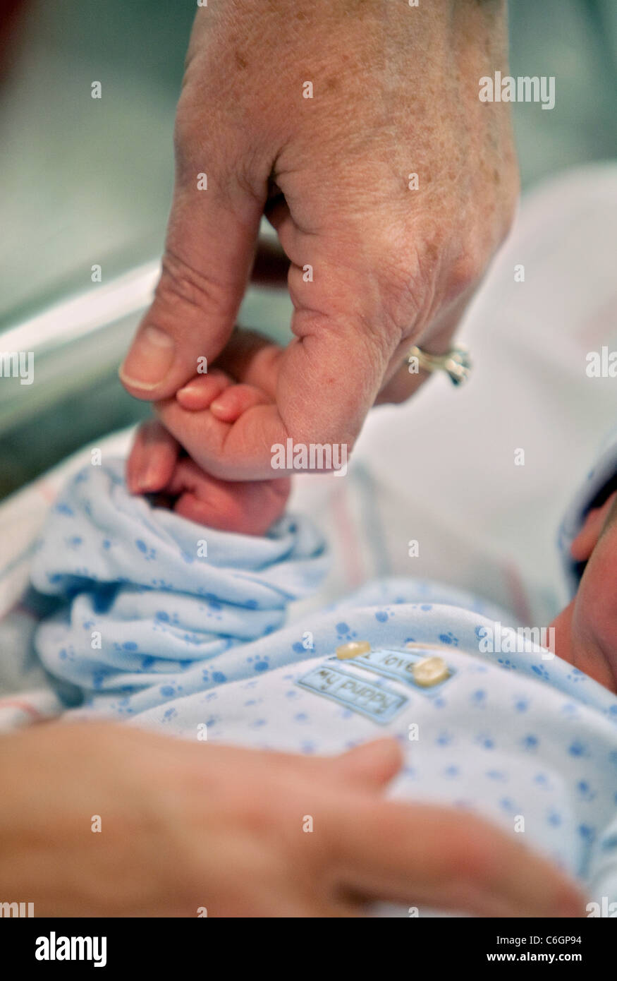 Hand holding a baby's hand Stock Photo - Alamy