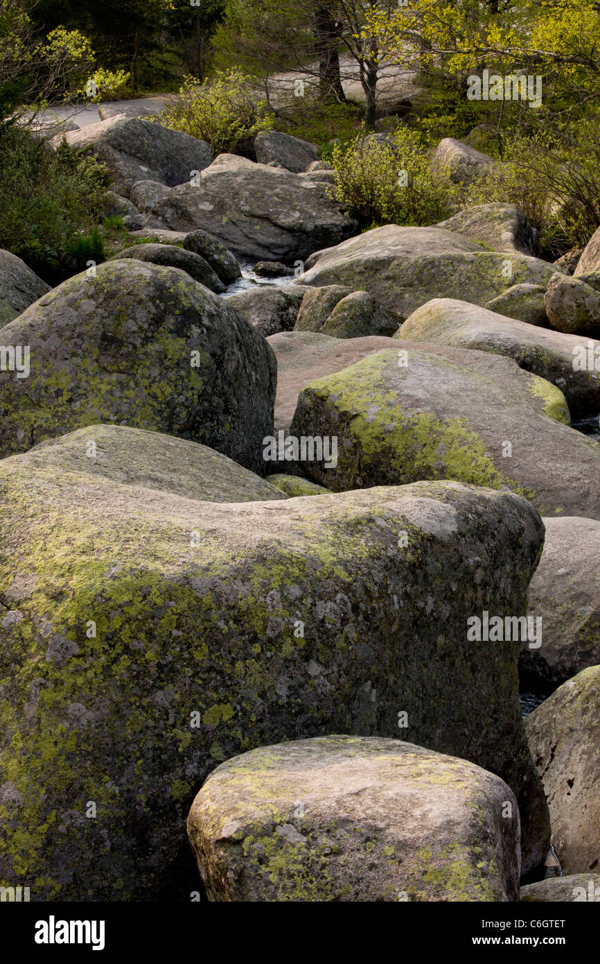 Vitosha stone river, geomorphological phenomenon formed from granite in ...