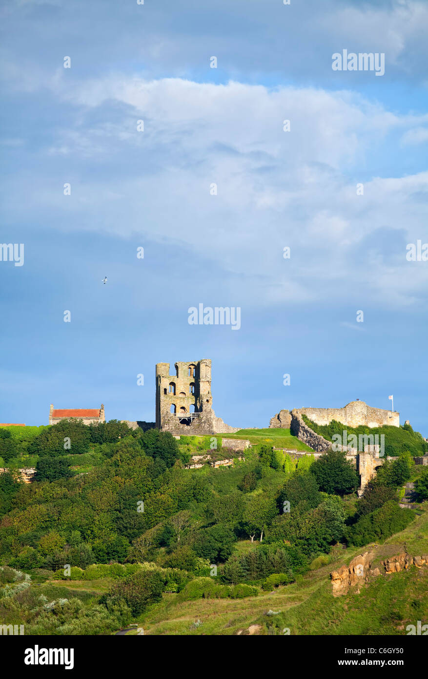 Scarborough Castle from Scalby Ness, North Yorkshire Stock Photo - Alamy