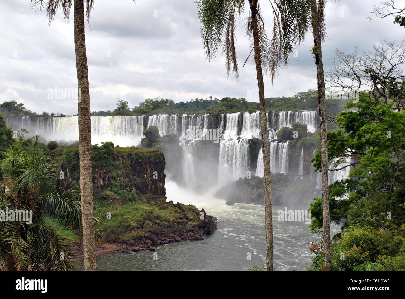Iguazu falls and palm trees hi-res stock photography and images - Alamy