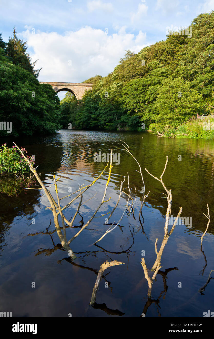 The disused Nidd Viaduct in the Nidd Gorge near Knaresborough, North ...
