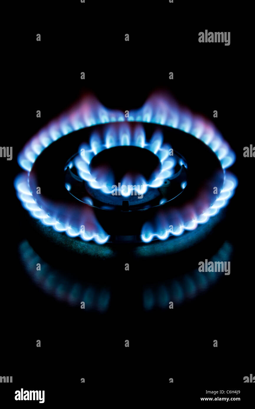 Gas Flame from a cooker hob on a black background. Concept High ...
