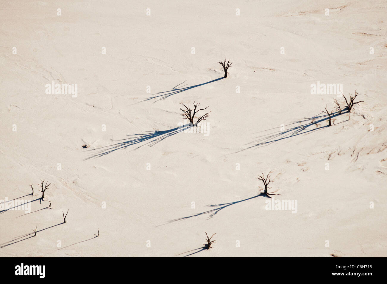 Desert trees aerial hi-res stock photography and images - Alamy