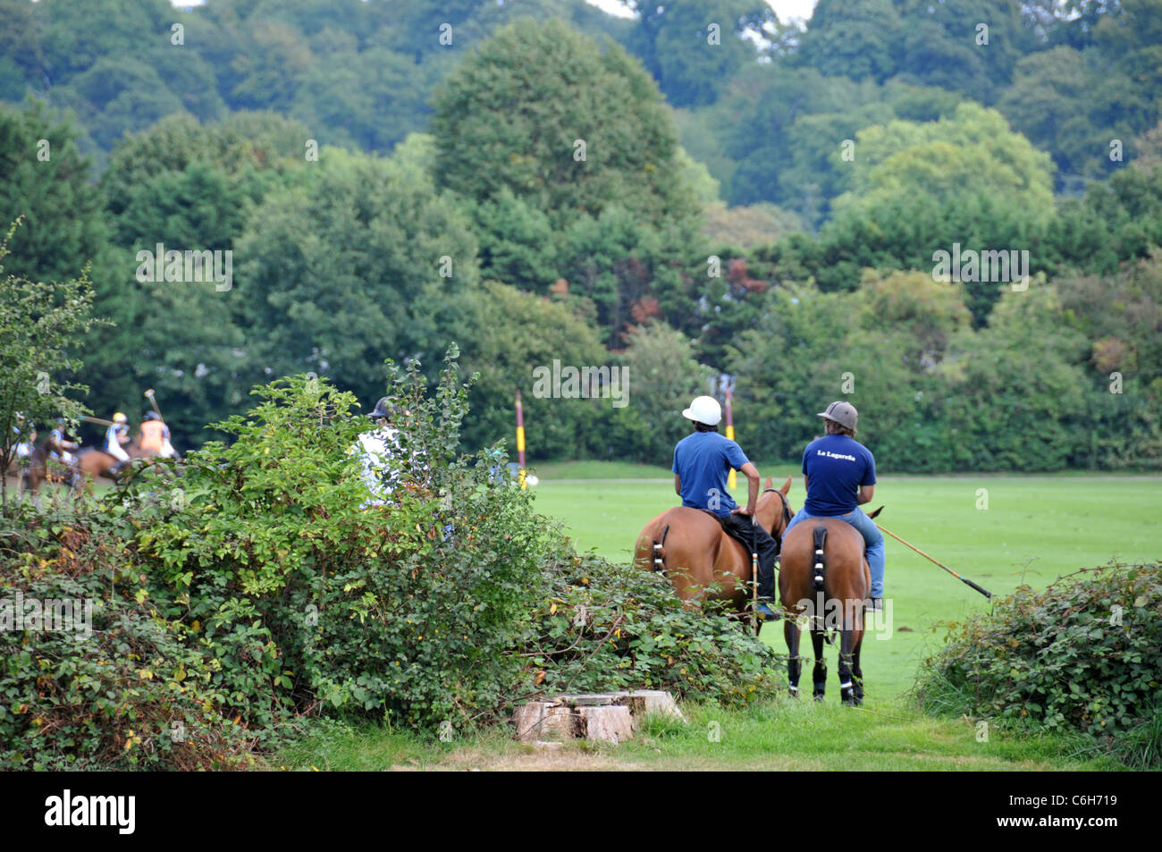 Ham polo hi-res stock photography and images - Alamy
