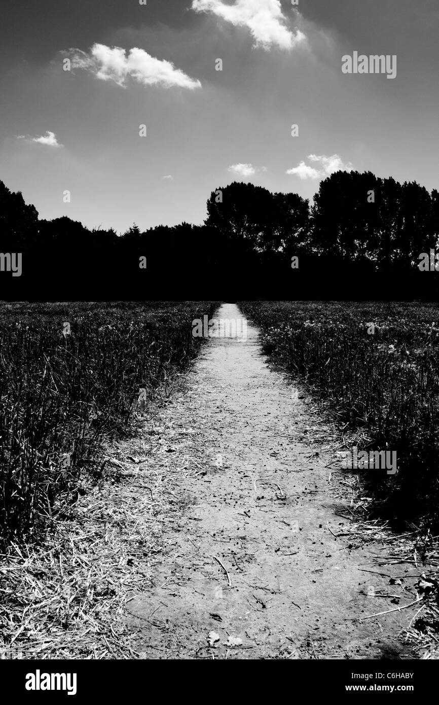 Black and white crop hi-res stock photography and images - Alamy