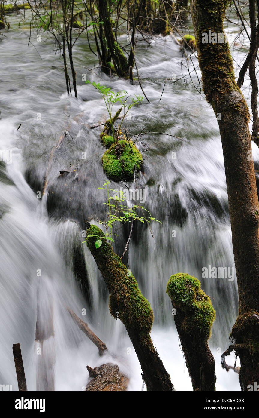 Water cascade hi-res stock photography and images - Alamy