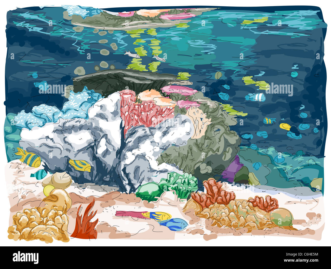 Sketch of an Underwater Scene Stock Photo - Alamy