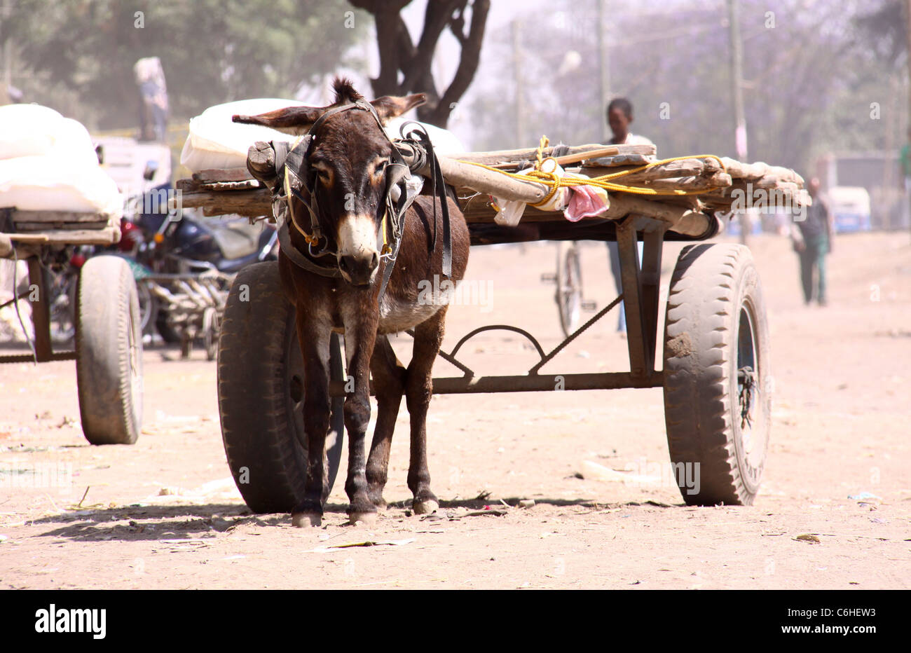 A donkey cart on a gravel street in a dusty market in Awassa, Ethiopia ...
