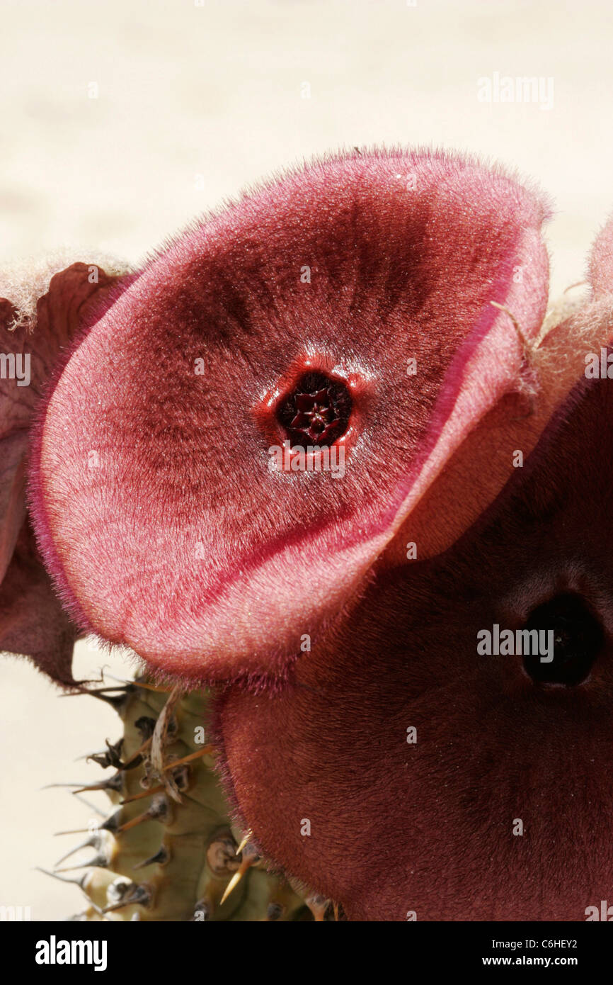 Deep loss hi-res stock photography and images - Alamy