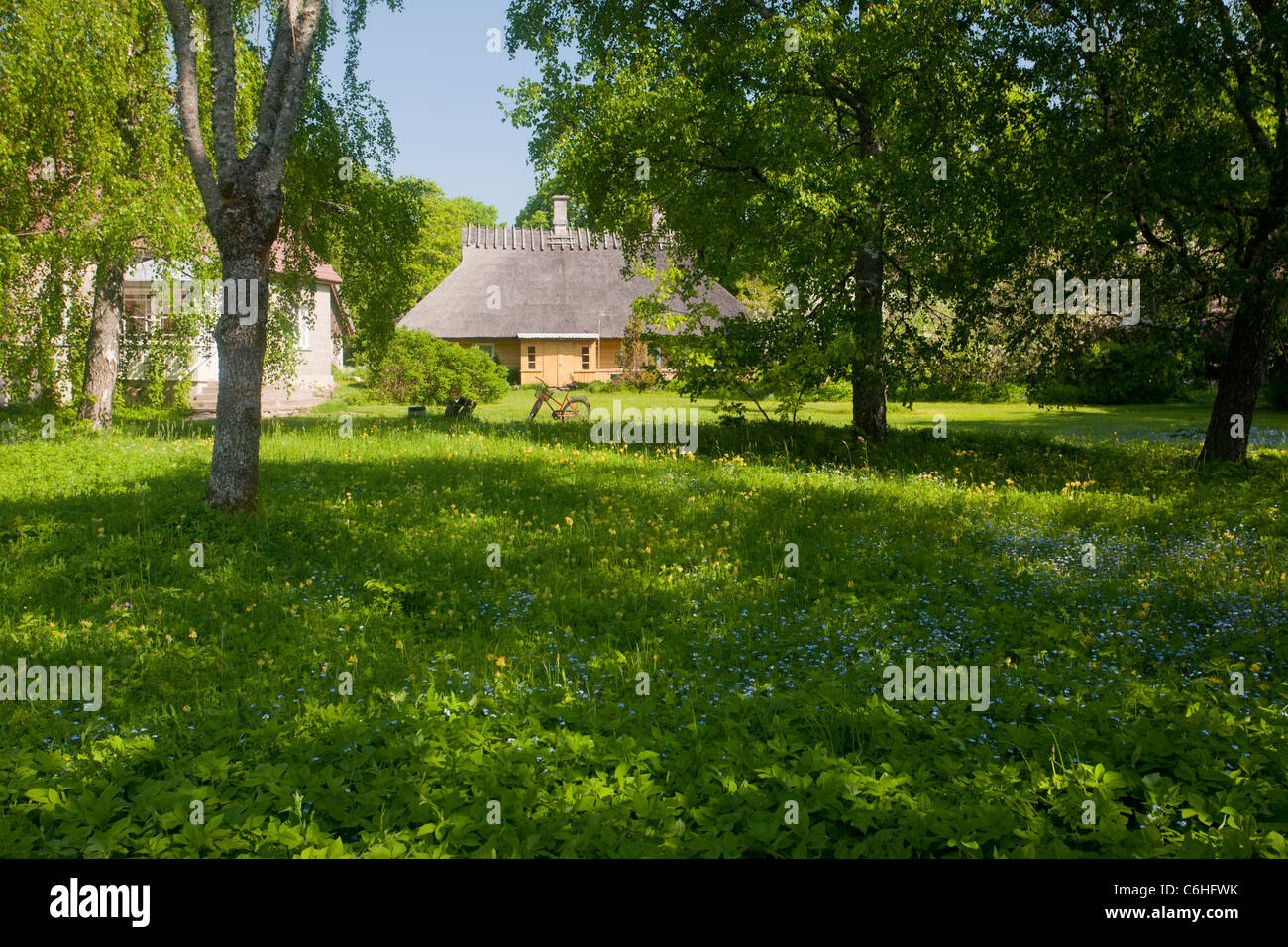 Flowery wooded meadow at Koguva museum village, Muhu island, - best ...