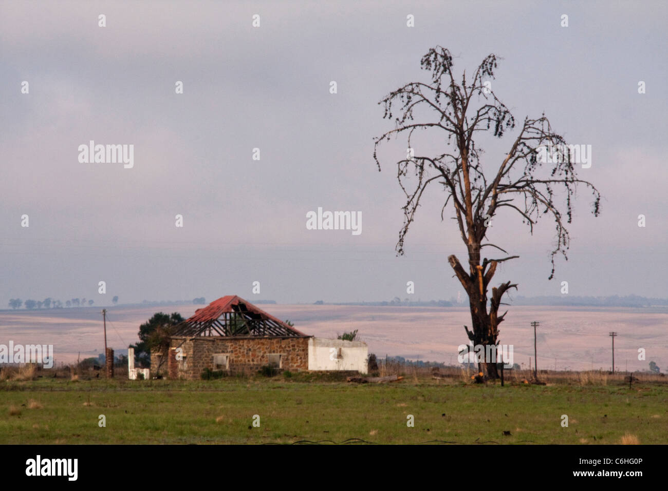 An abandoned rural farm with burnt tree Stock Photo - Alamy