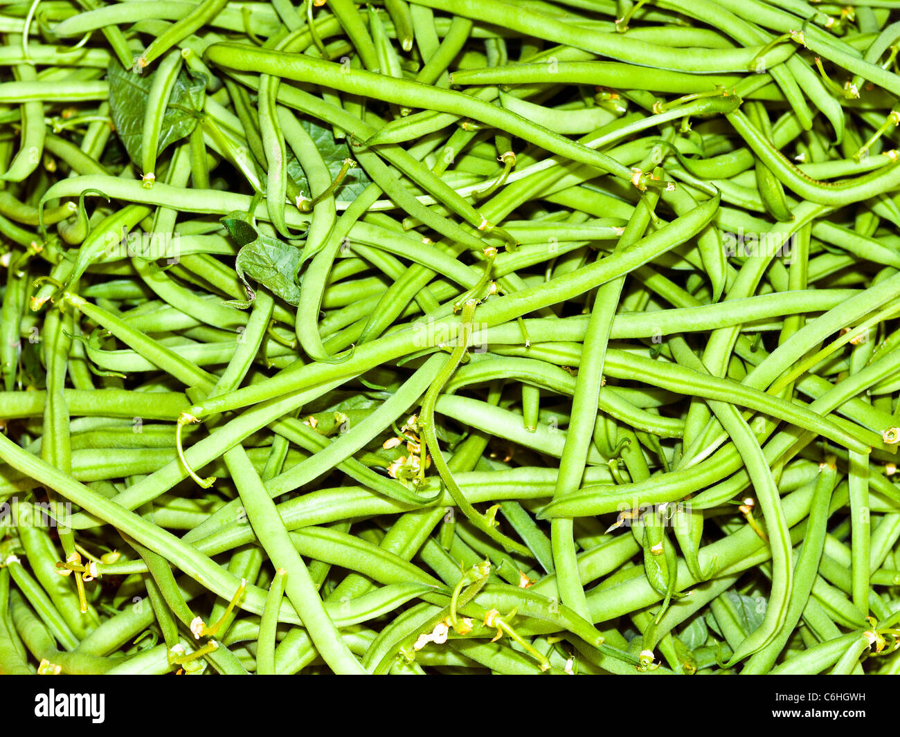 Haricot verts hi-res stock photography and images - Alamy