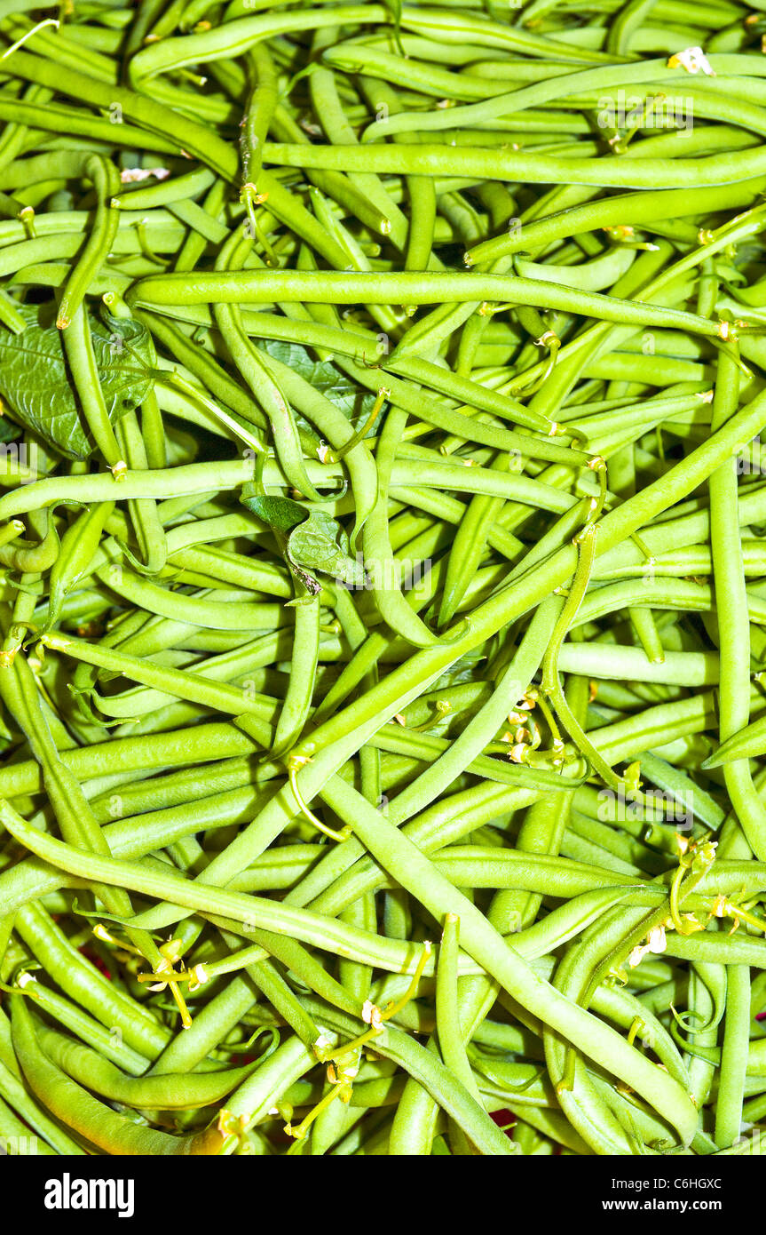 Haricot verts green beans - France Stock Photo - Alamy
