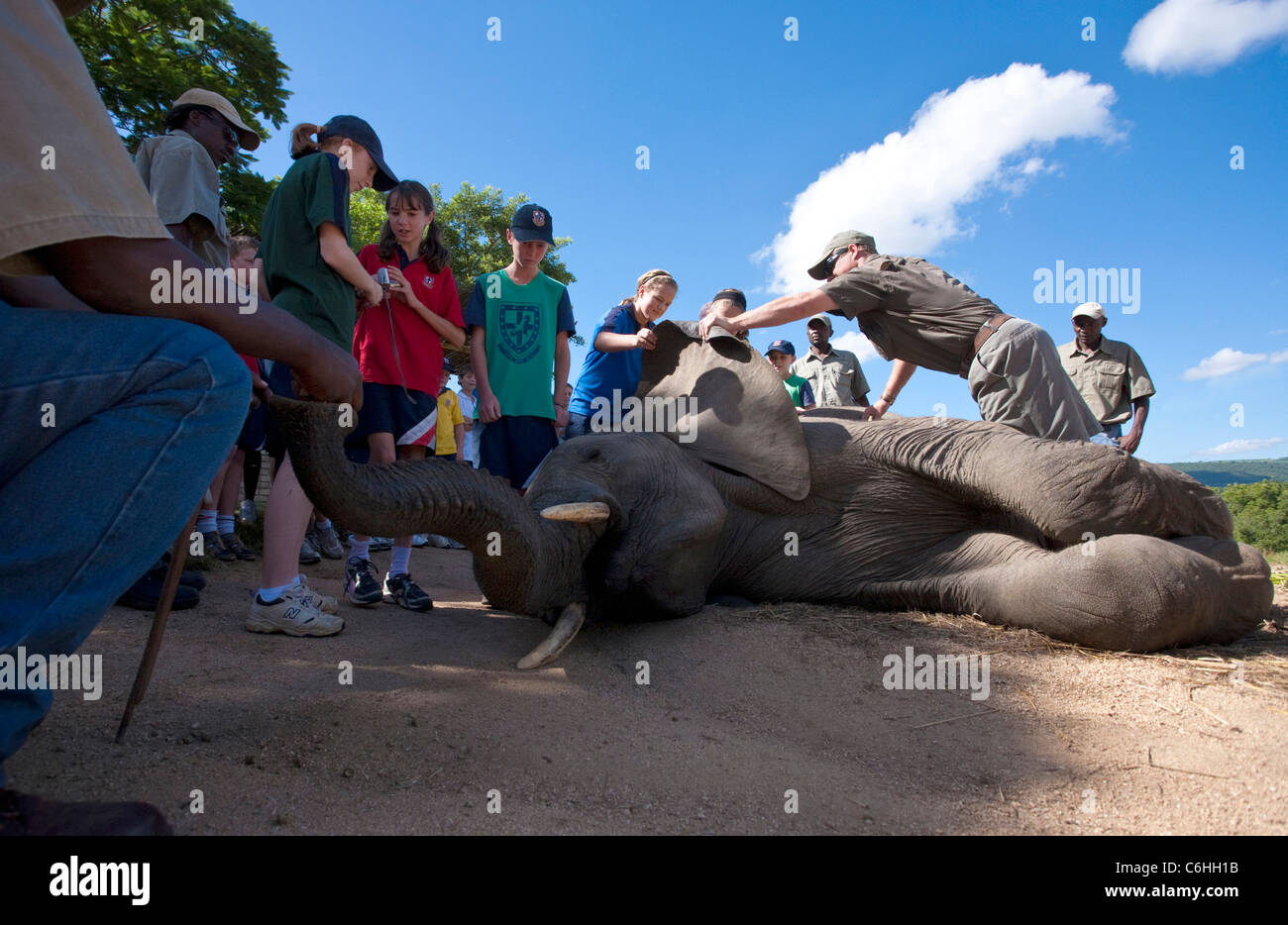 Elephants with children hi-res stock photography and images - Alamy