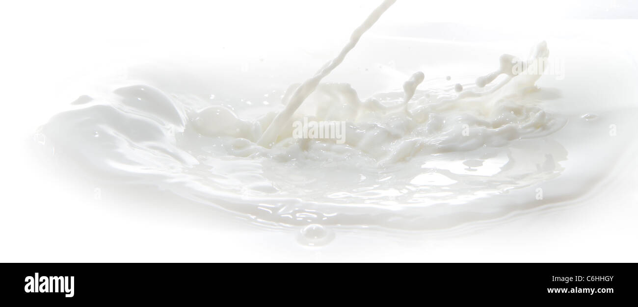 pouring milk splash isolated on white background Stock Photo - Alamy