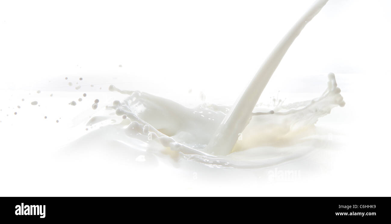pouring milk splash isolated on white background Stock Photo - Alamy