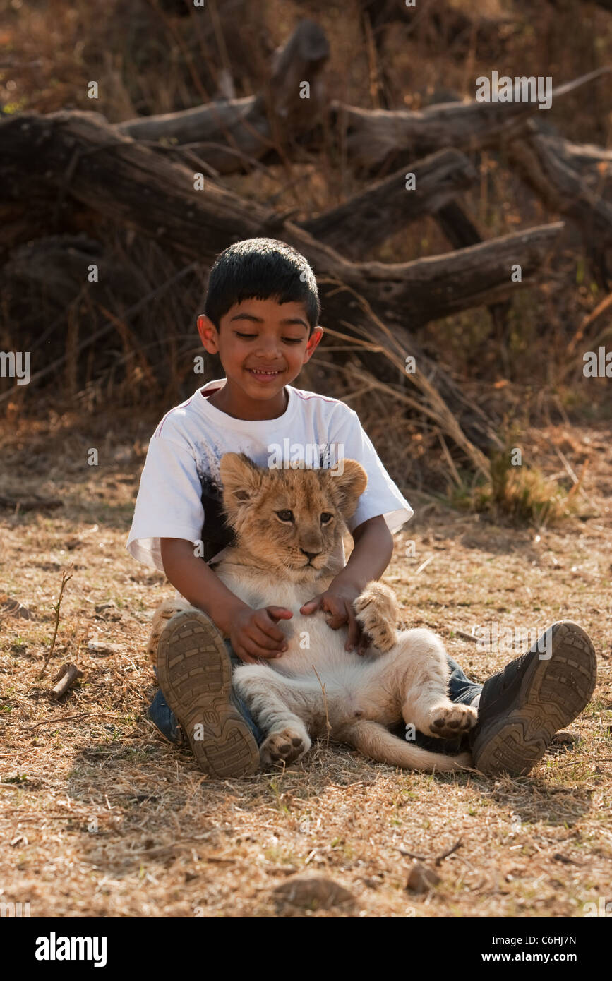 Boy lion cub hi-res stock photography and images - Alamy