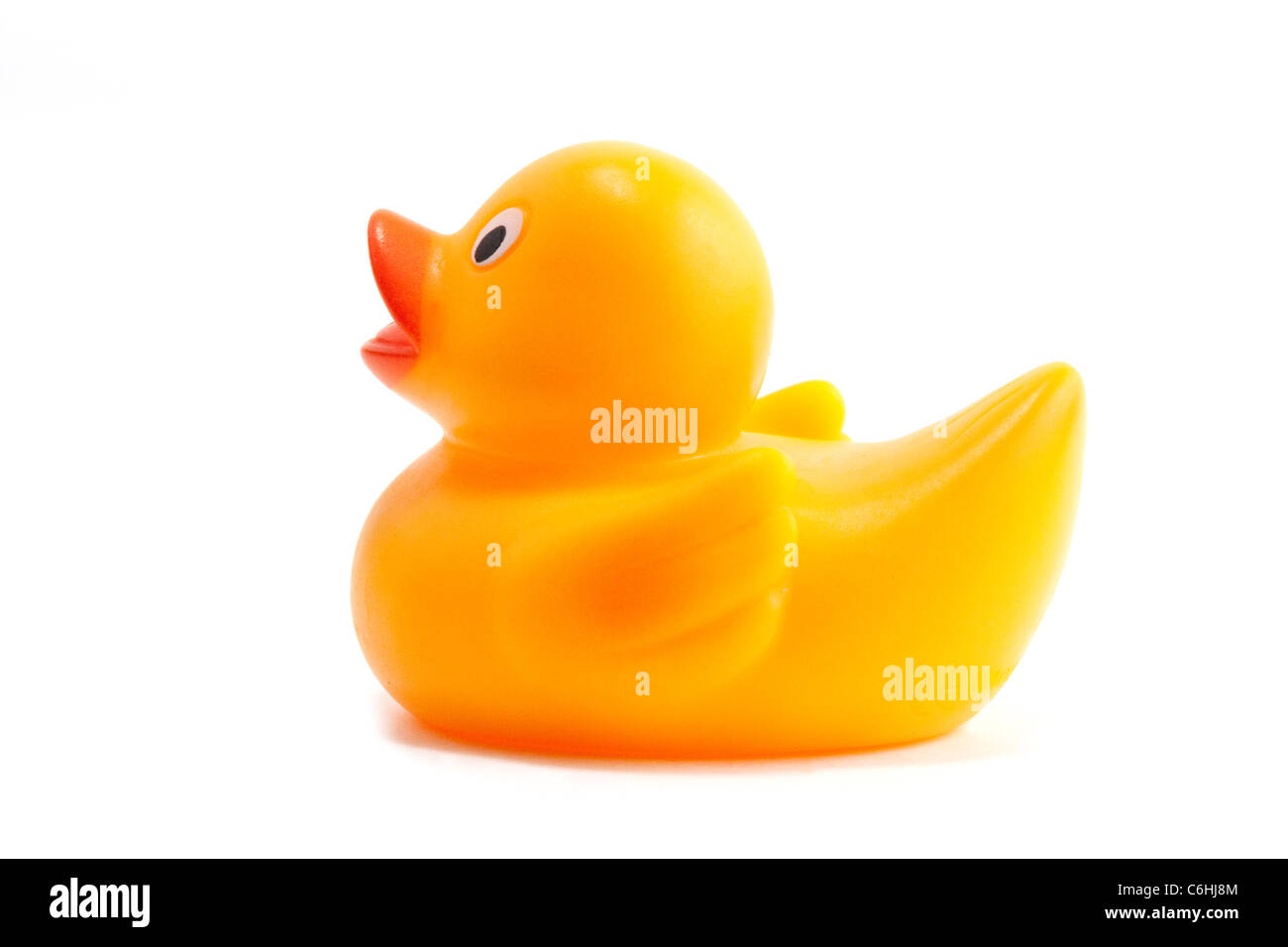 plastic yellow rubber duck bath toy on white Stock Photo - Alamy