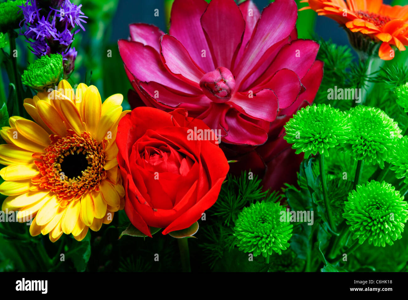 Love british flowers hi-res stock photography and images - Alamy