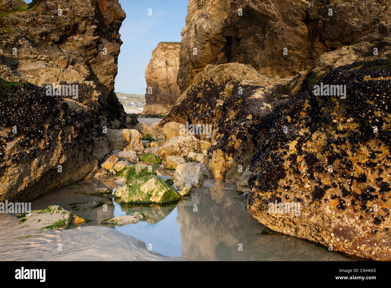 Rock pool and mussels at low tide at Perranporth beach Cornwall Stock ...