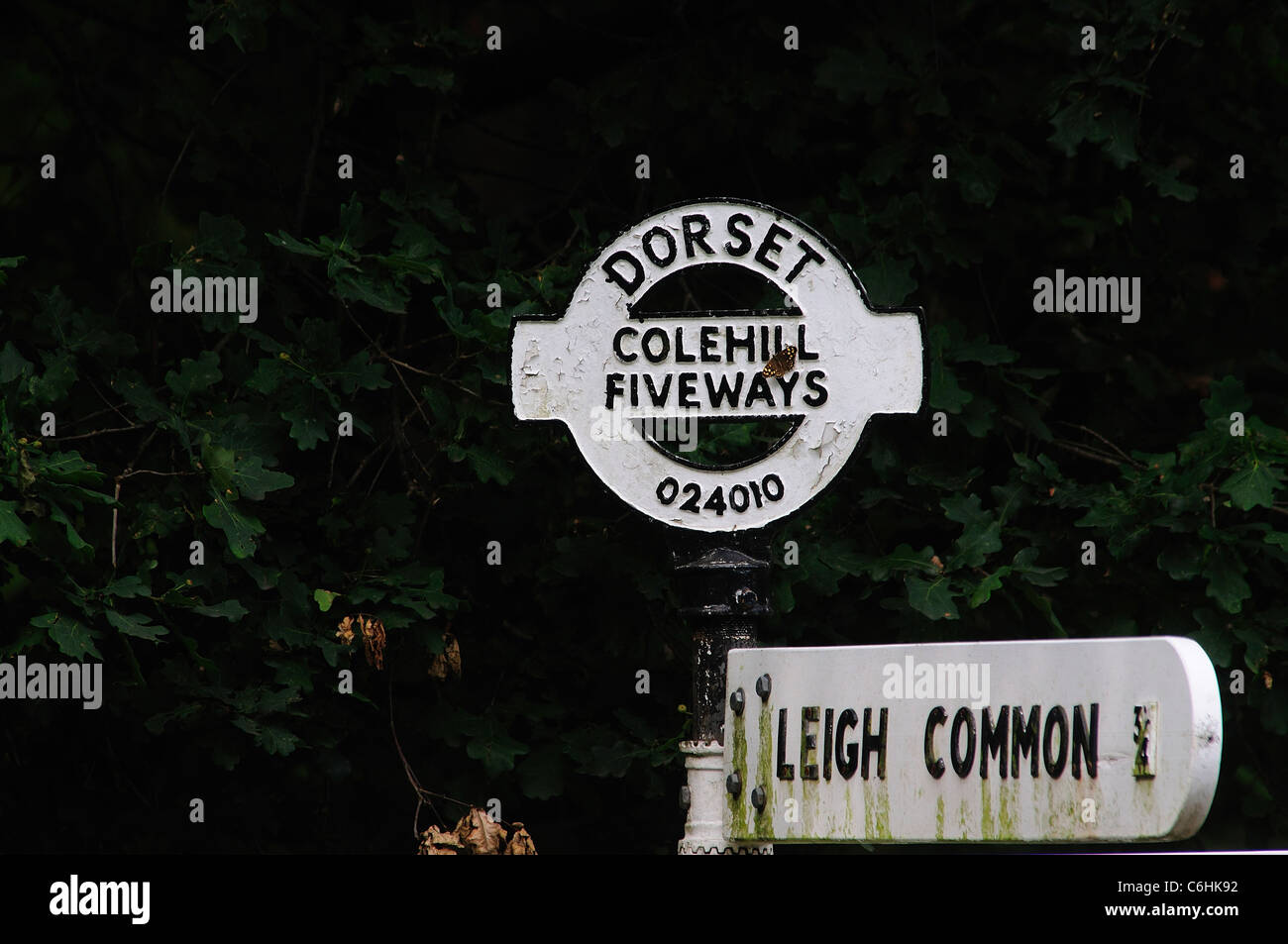 Finger reference hi-res stock photography and images - Alamy