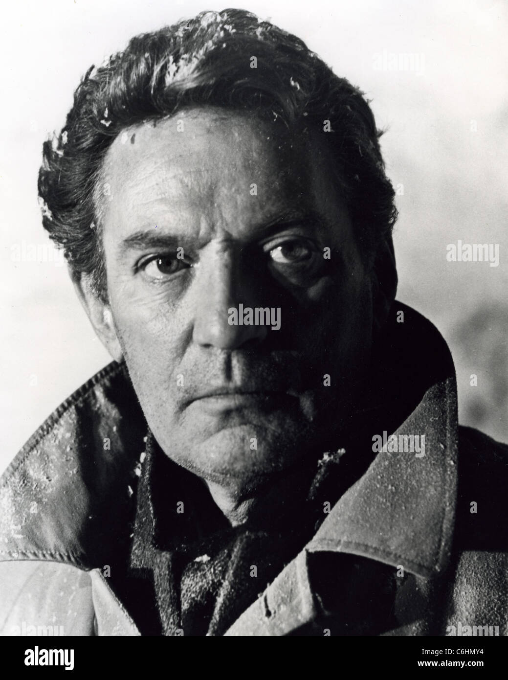 Peter finch hi-res stock photography and images - Alamy