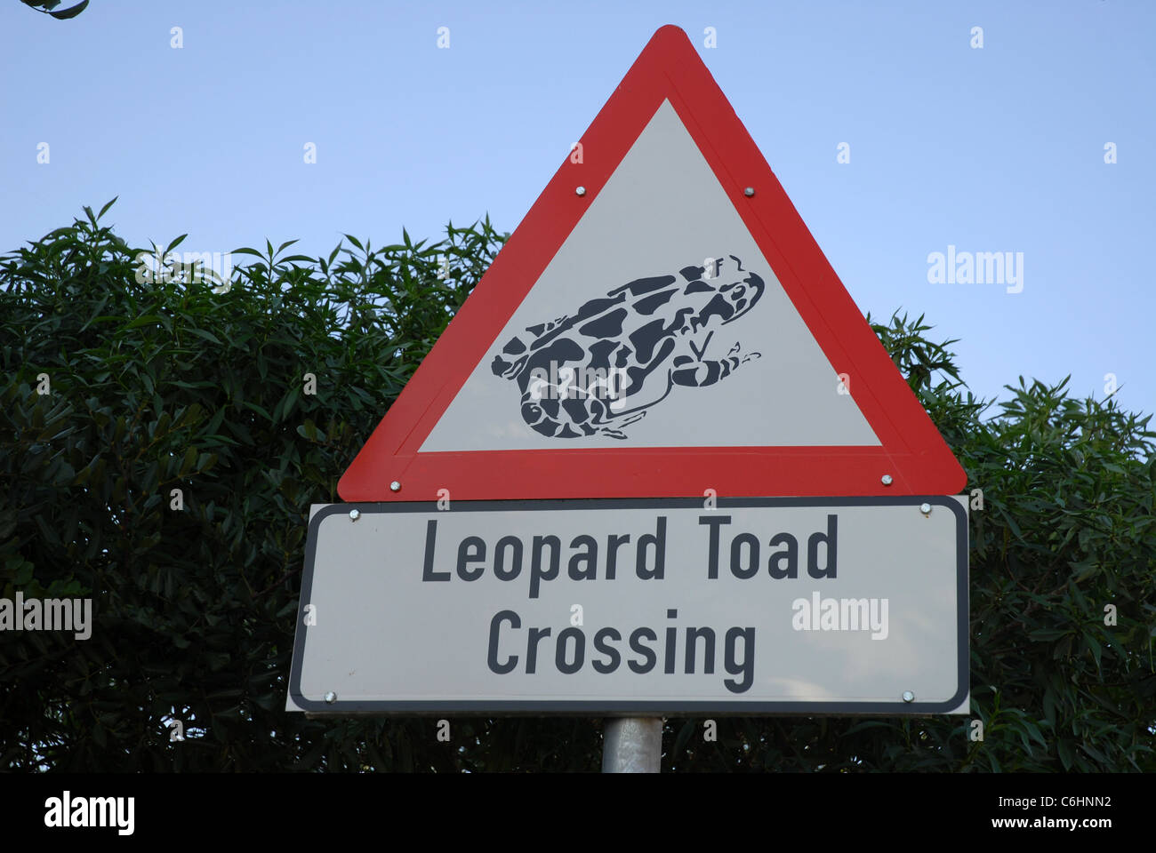Toad crossing warning sign hi-res stock photography and images - Alamy