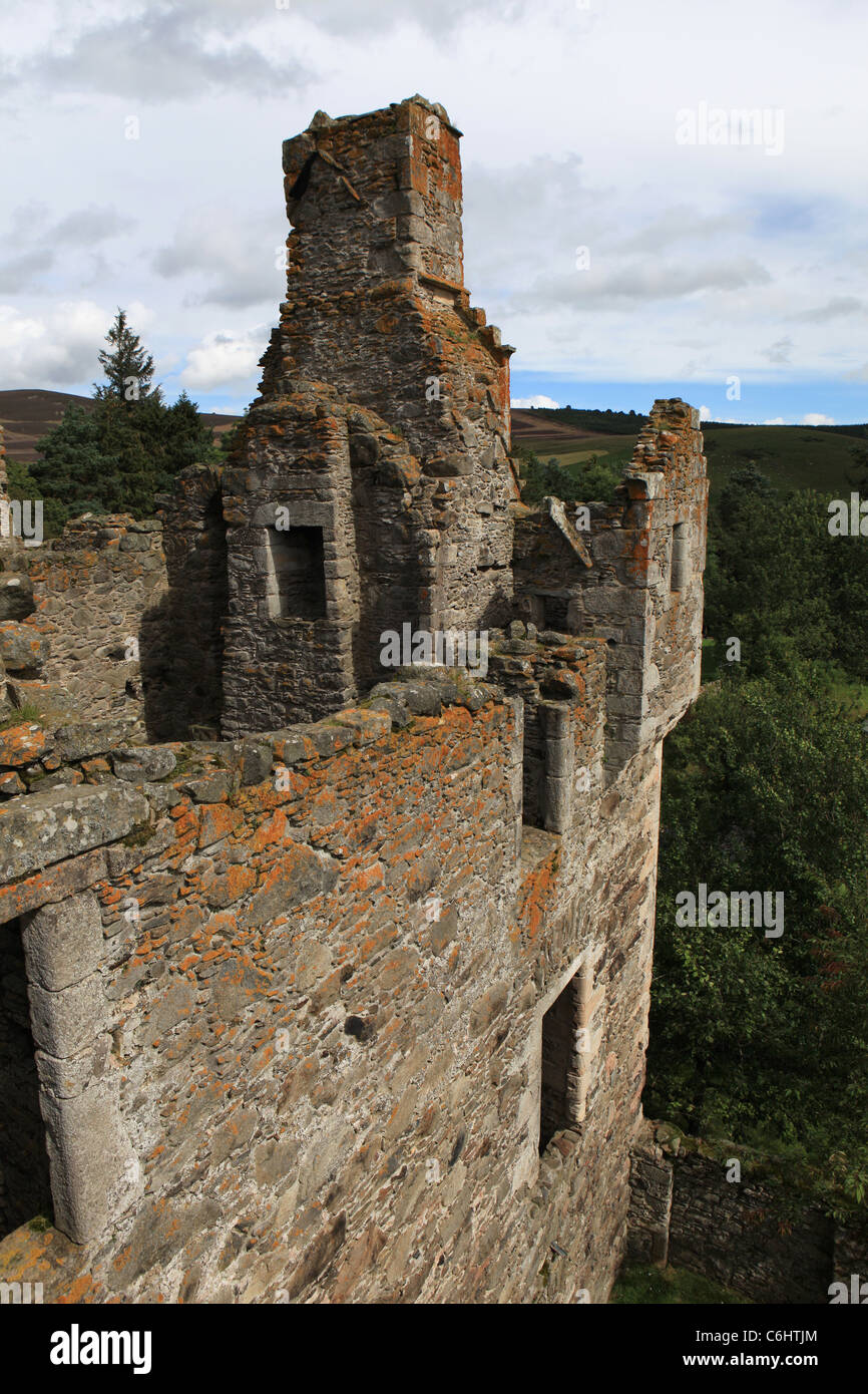 [Glenbuchat Castle], Strathdon, Aberdeenshire, Scotland, a [sixteenth ...