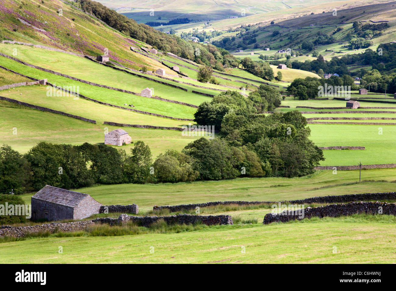 Swaledale hi-res stock photography and images - Alamy