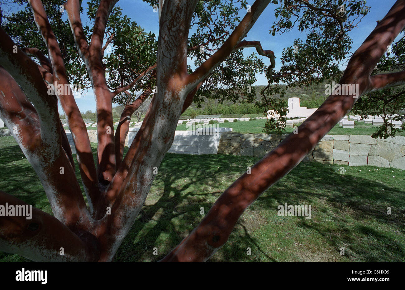 7th Field Ambulance ccemetery Gallipoli Battlefield Turkey from 1915 ...