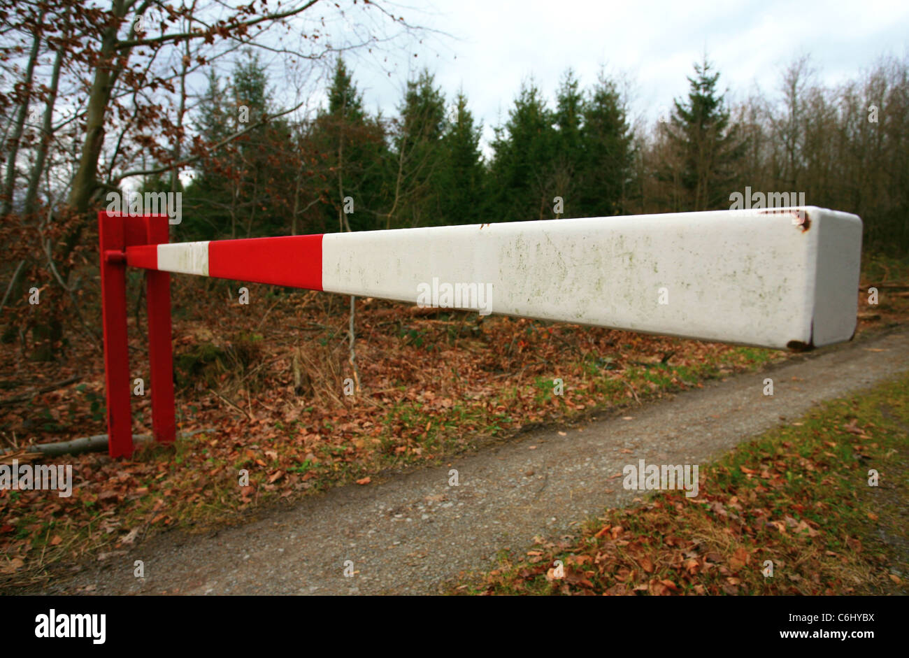 Barrier in the forest Stock Photo - Alamy