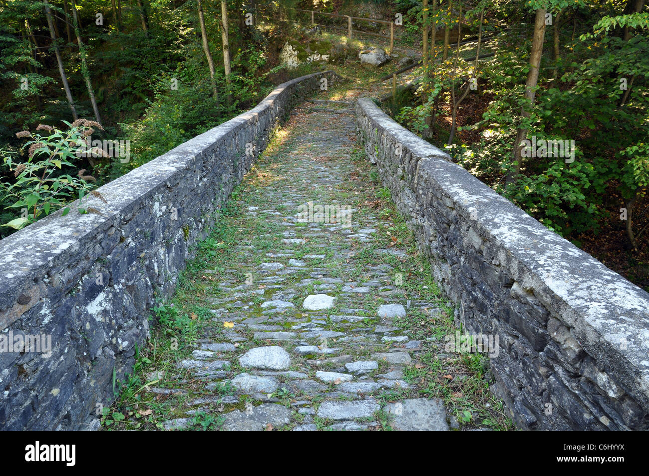 Bridge of a foot and mule path in the wood Stock Photo - Alamy