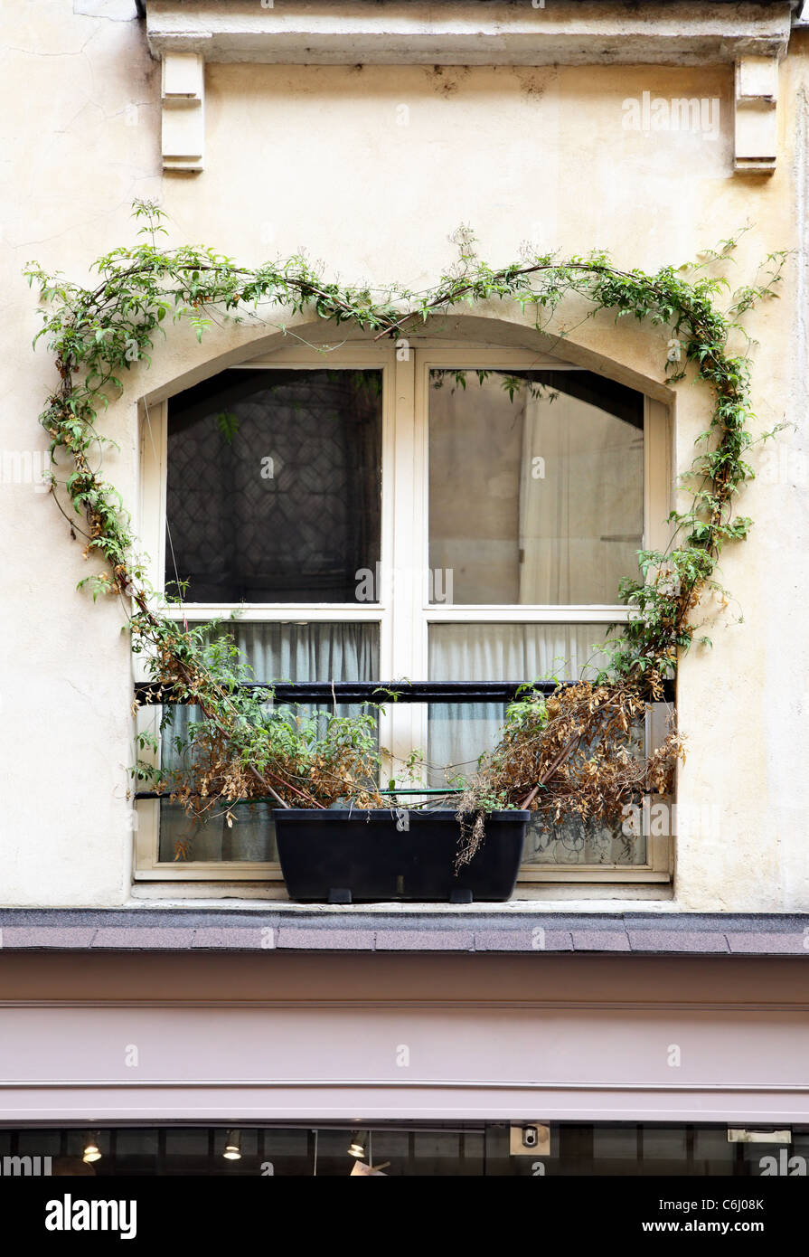 Vintage paris window hi-res stock photography and images - Alamy
