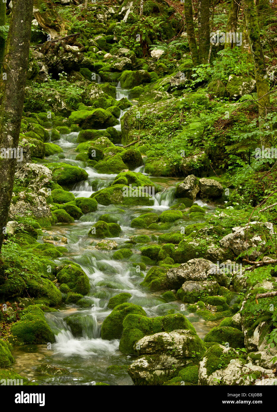 Spring source hi-res stock photography and images - Alamy
