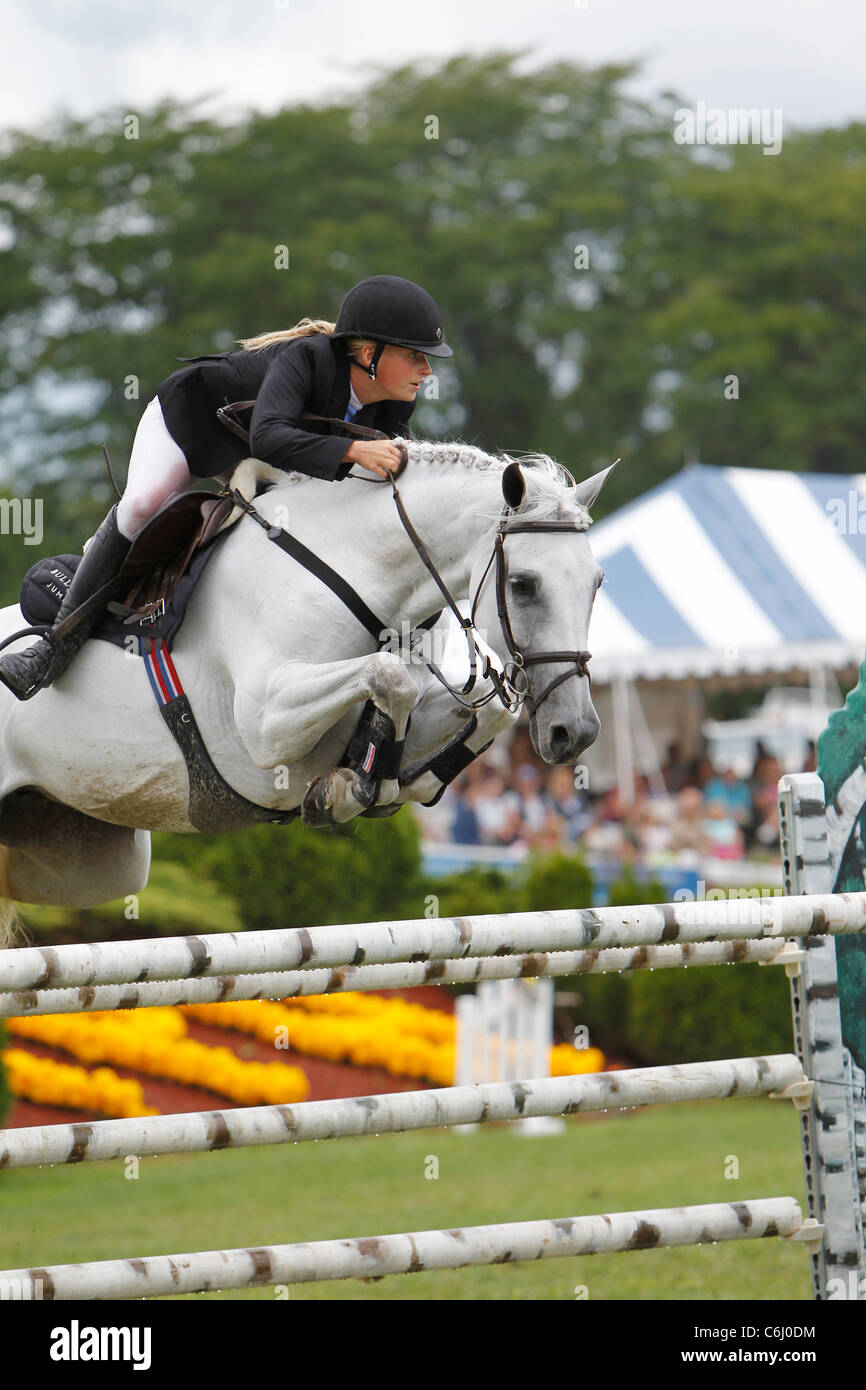 Show jumping horse hi-res stock photography and images - Alamy